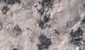 Tonalite dell’Adamello « Journal